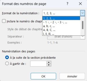 Comment numéroter les pages sur Word - La Pro du Bureau